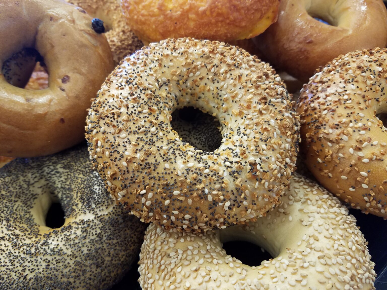 Between Rounds Bagels Vernon – Between Rounds